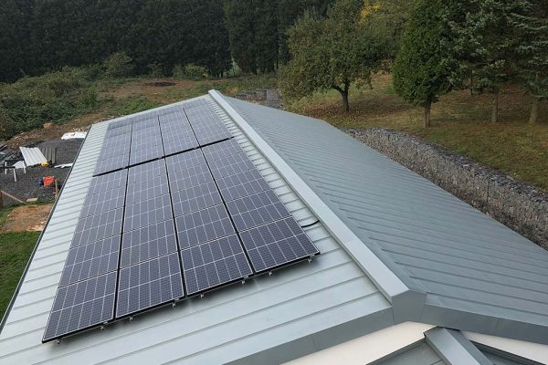 Rheinzink Blue-Grey - prestige metal roofing